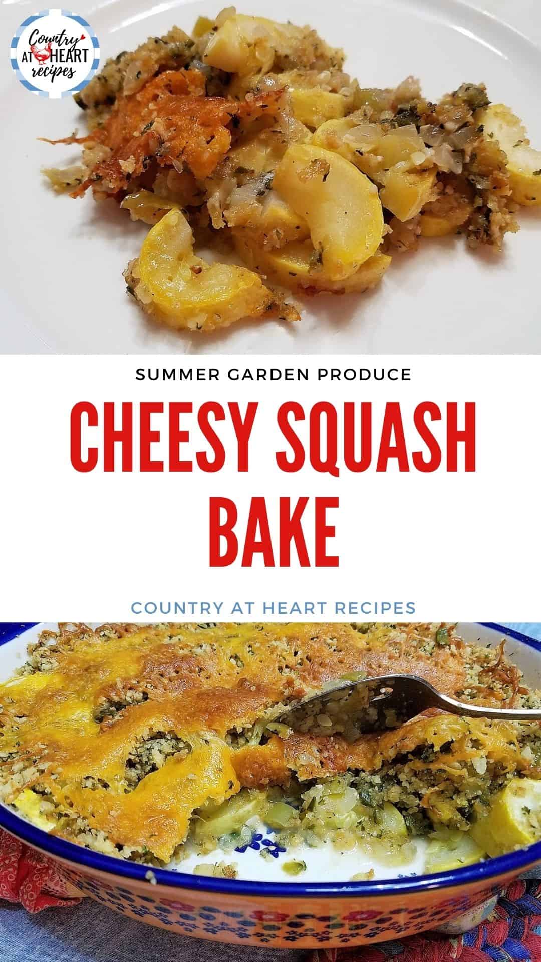 Cheesy Squash Bake - Country at Heart Recipes